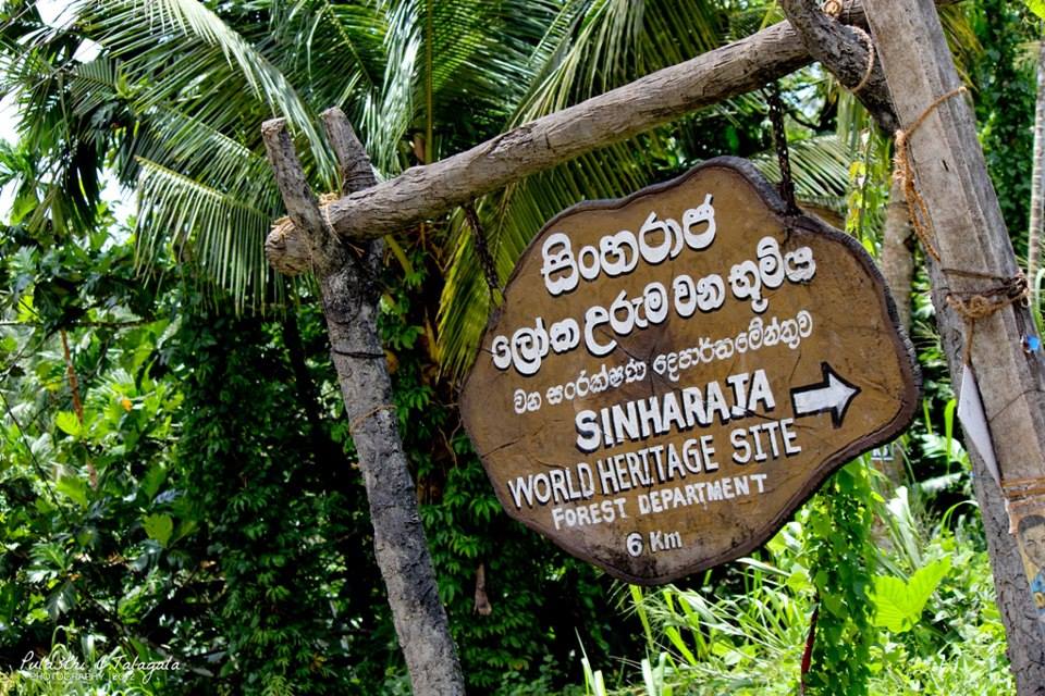 Sinharaja Rain Forest guide Ratnapura district